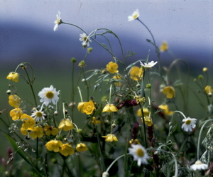Fotogalerie - SIOTRAVEL